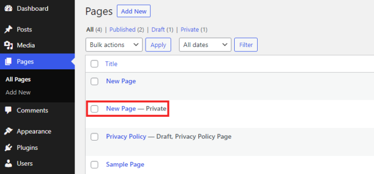 What is a Private Page in WordPress? (Beginner's Guide)